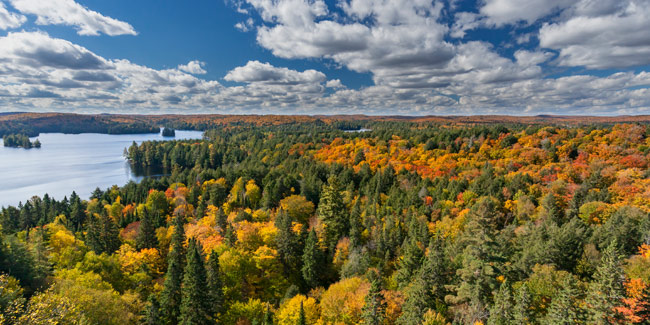 Canadian Discovery | New York City & Toronto Expedition Cruises